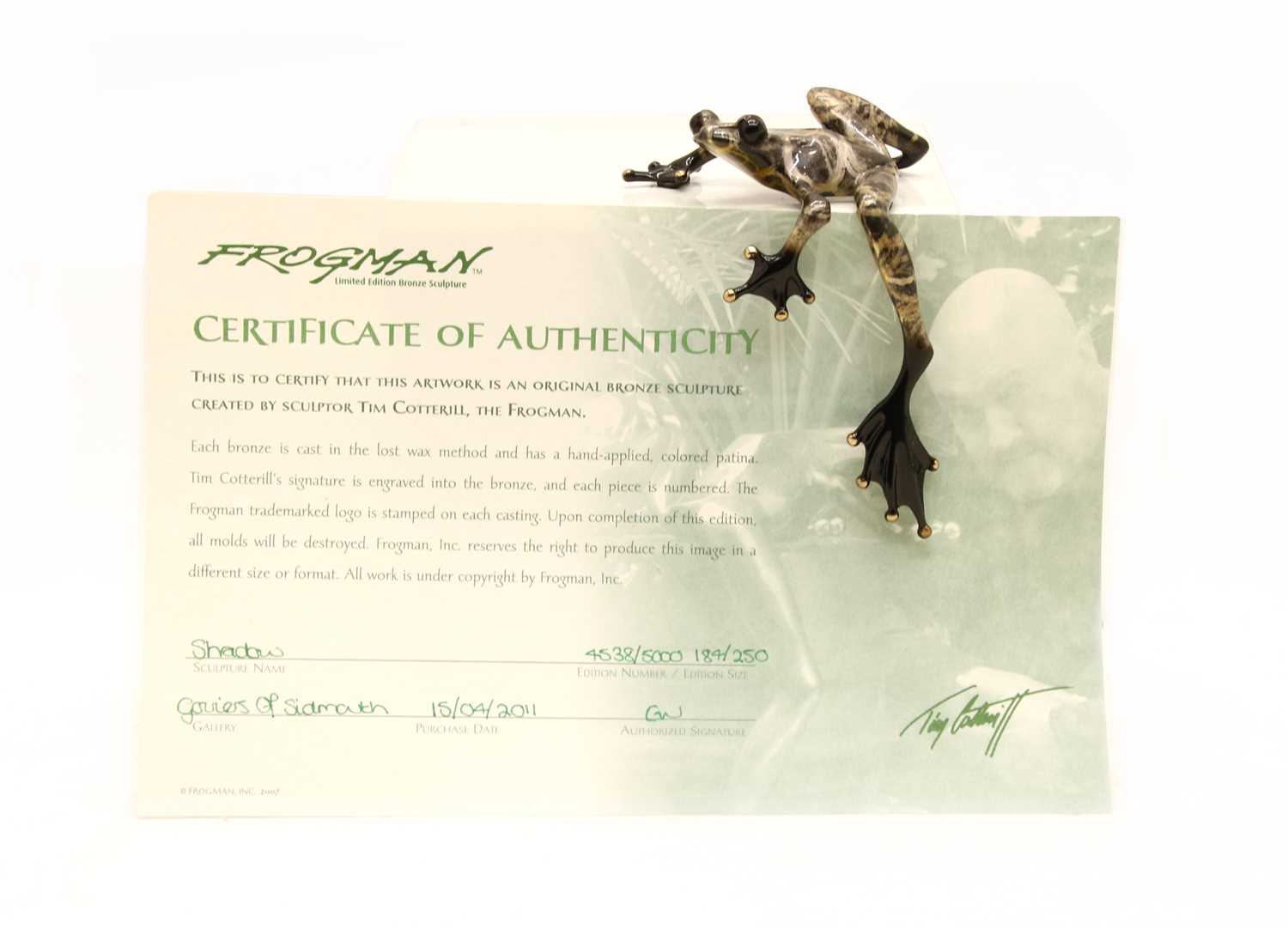 Lot 358 - A Tim Cotterill 'Frogman' bronze frog,