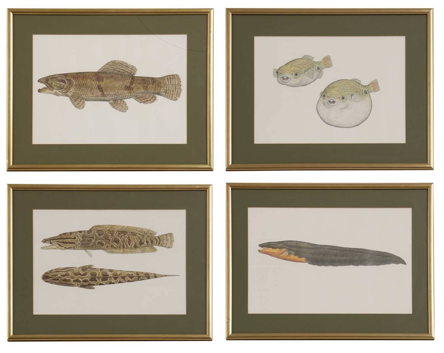 Lot 264 - Phil Coles (contemporary)